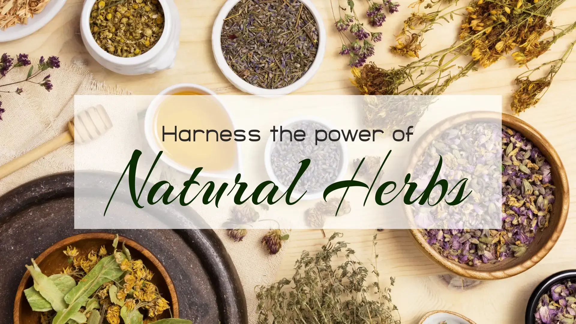 Ignite Your Winning Streak Seamless Entertainment and Exclusive Rewards ...